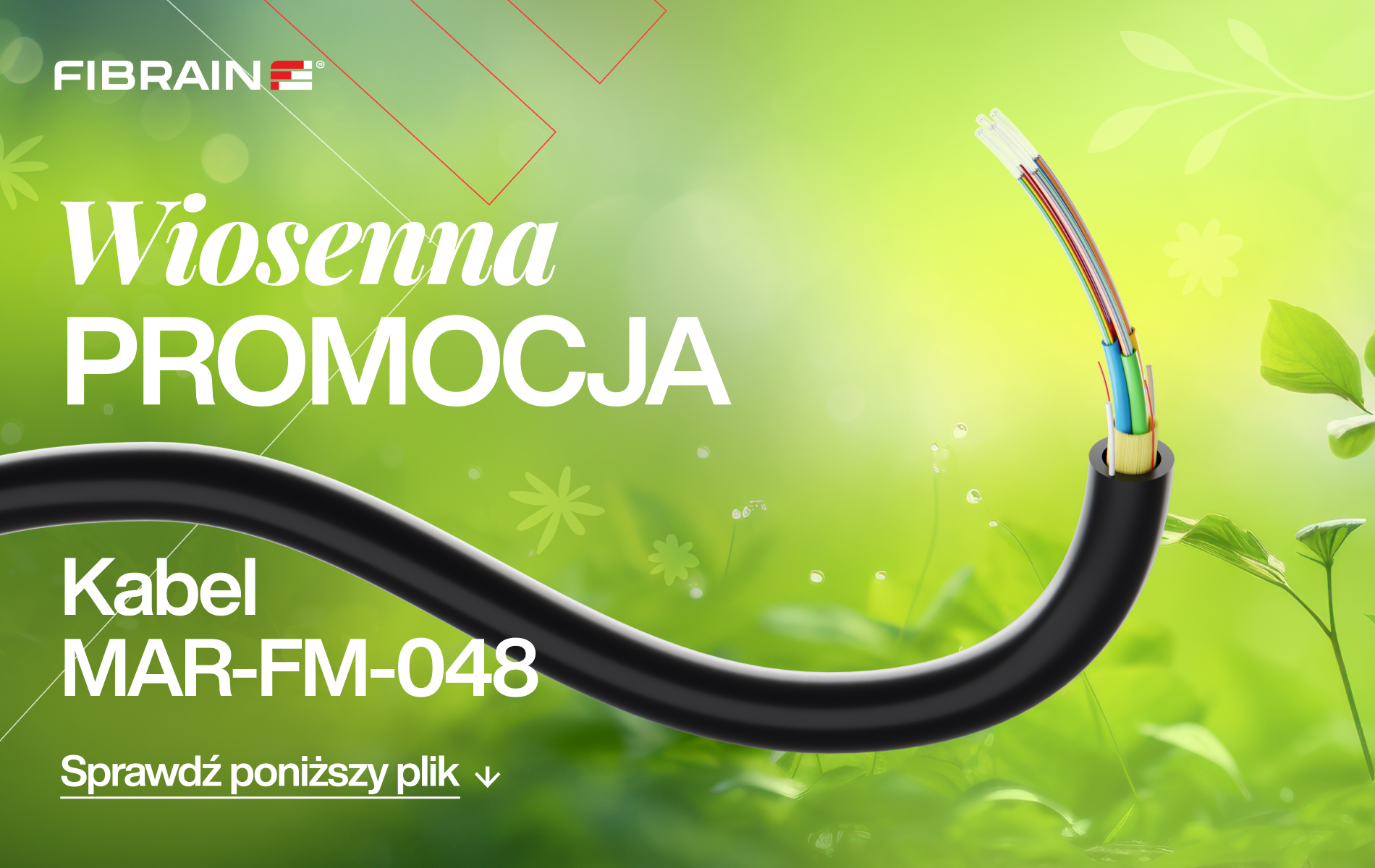 Wiosenna promocja w FIBRAIN!